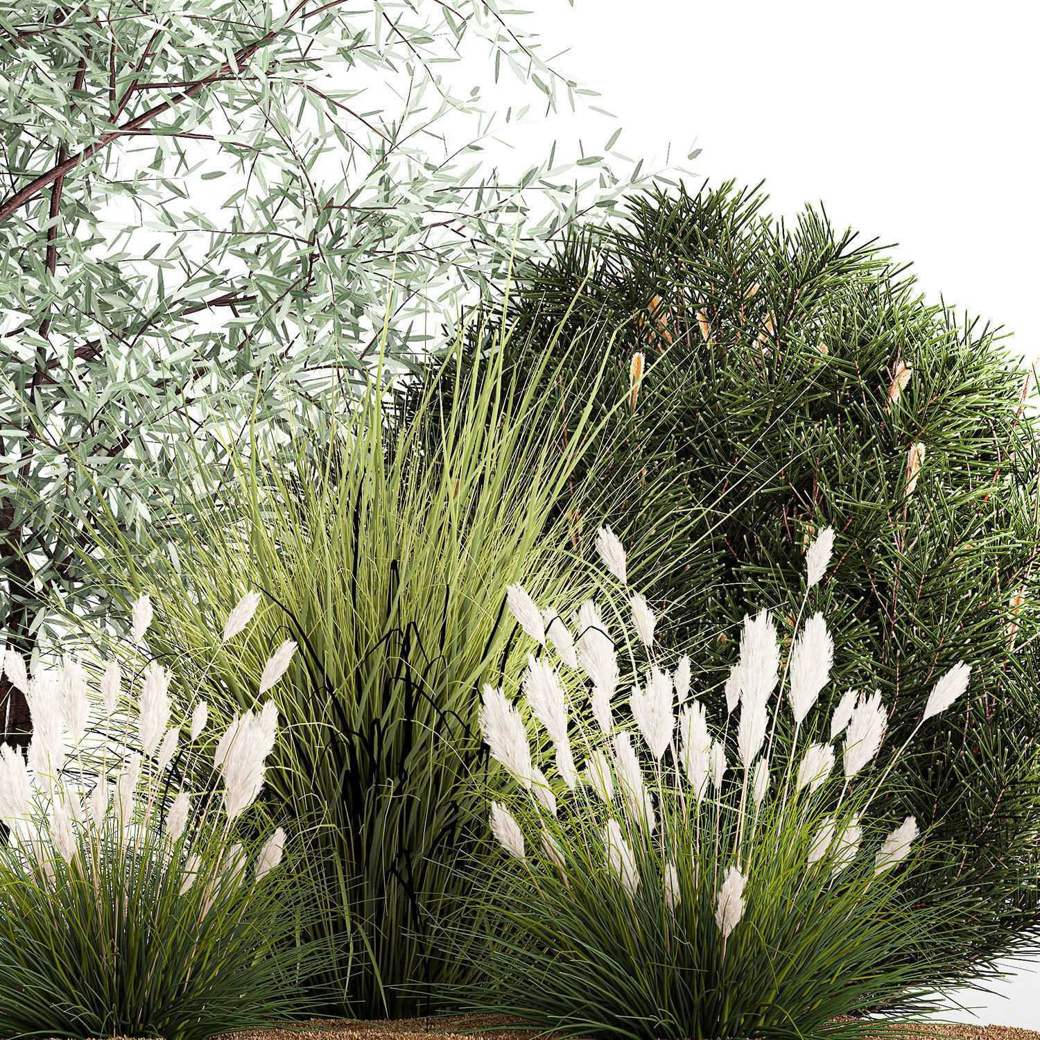 Elaeagnus Topiary And Bushes For The Garden 1189 3D model | CGTrader