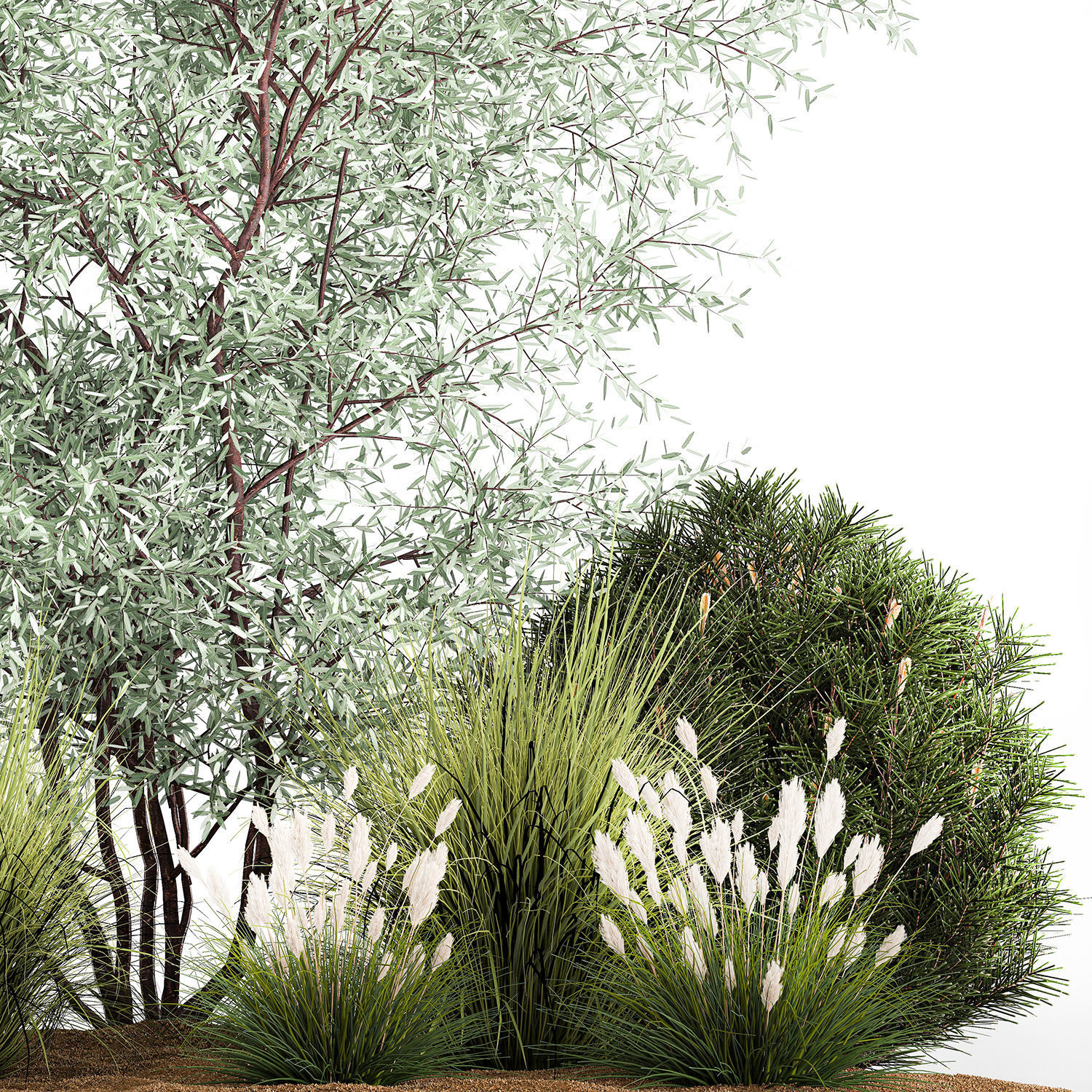 Elaeagnus Topiary And Bushes For The Garden 1189 3D model | CGTrader