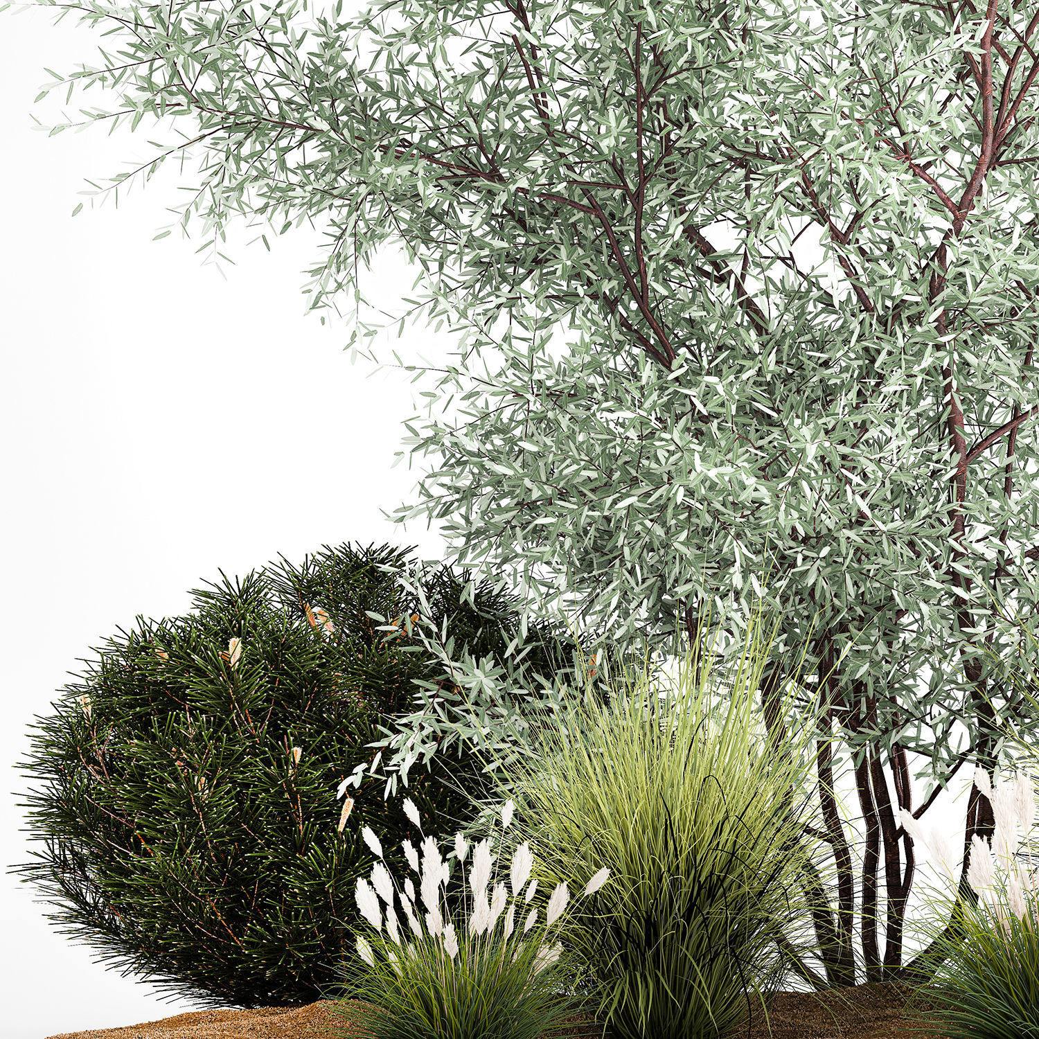 Elaeagnus Topiary And Bushes For The Garden 1189 3D model | CGTrader
