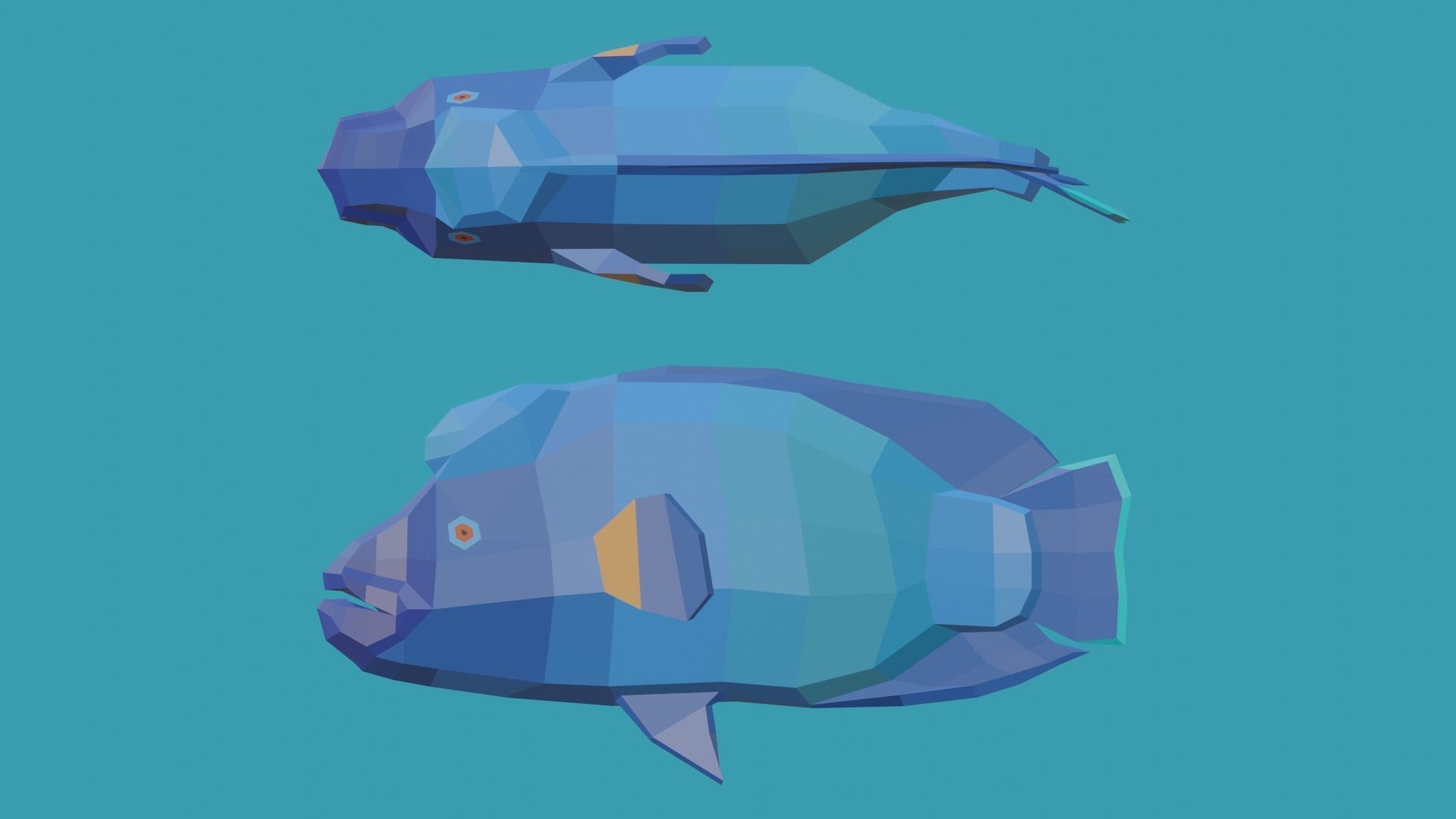 3D model animated low poly fish pack VR / AR / low-poly | CGTrader