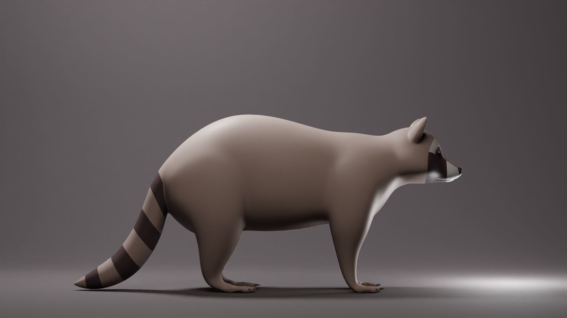 3D model Racoon Base Mesh VR / AR / low-poly | CGTrader