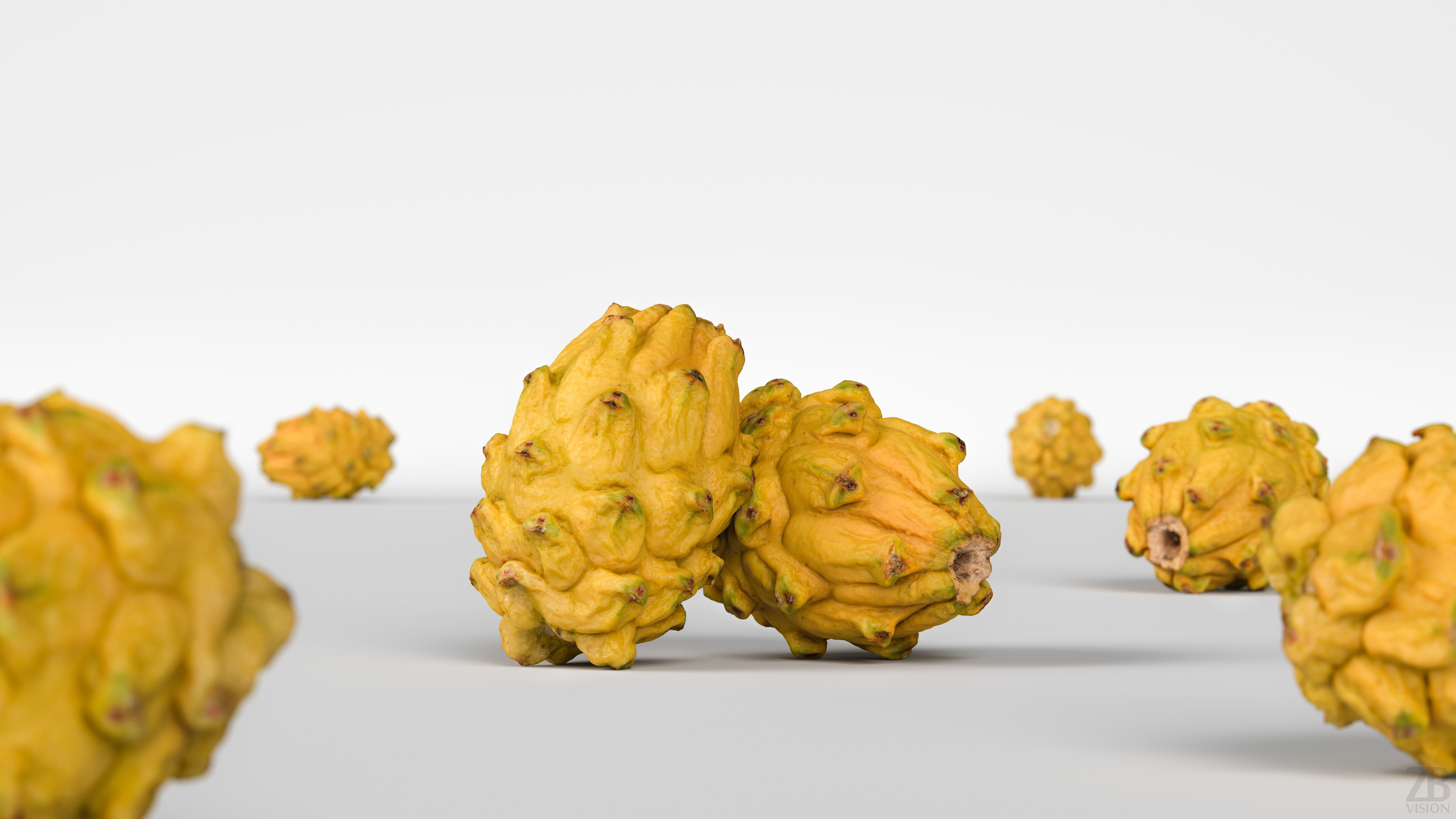 Pitaya 3D model | CGTrader