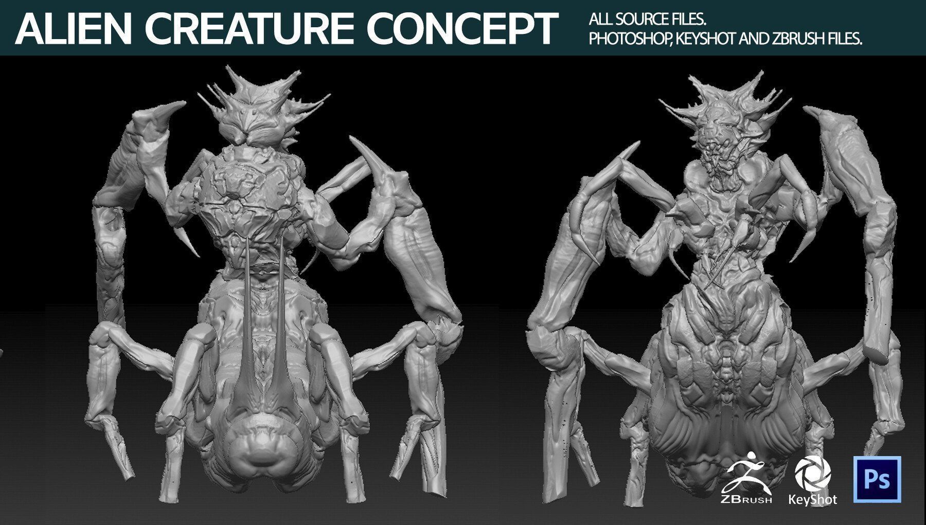 Alien Creature Concept 3D model | CGTrader