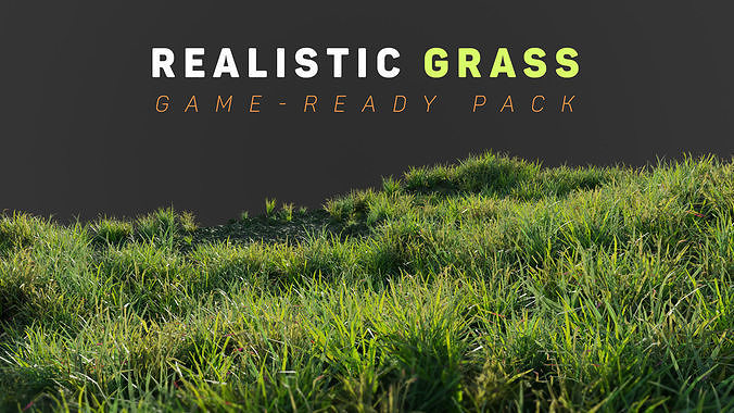 3D model Grass Low Poly Realistic Game Ready 3D Model pack VR / AR ...