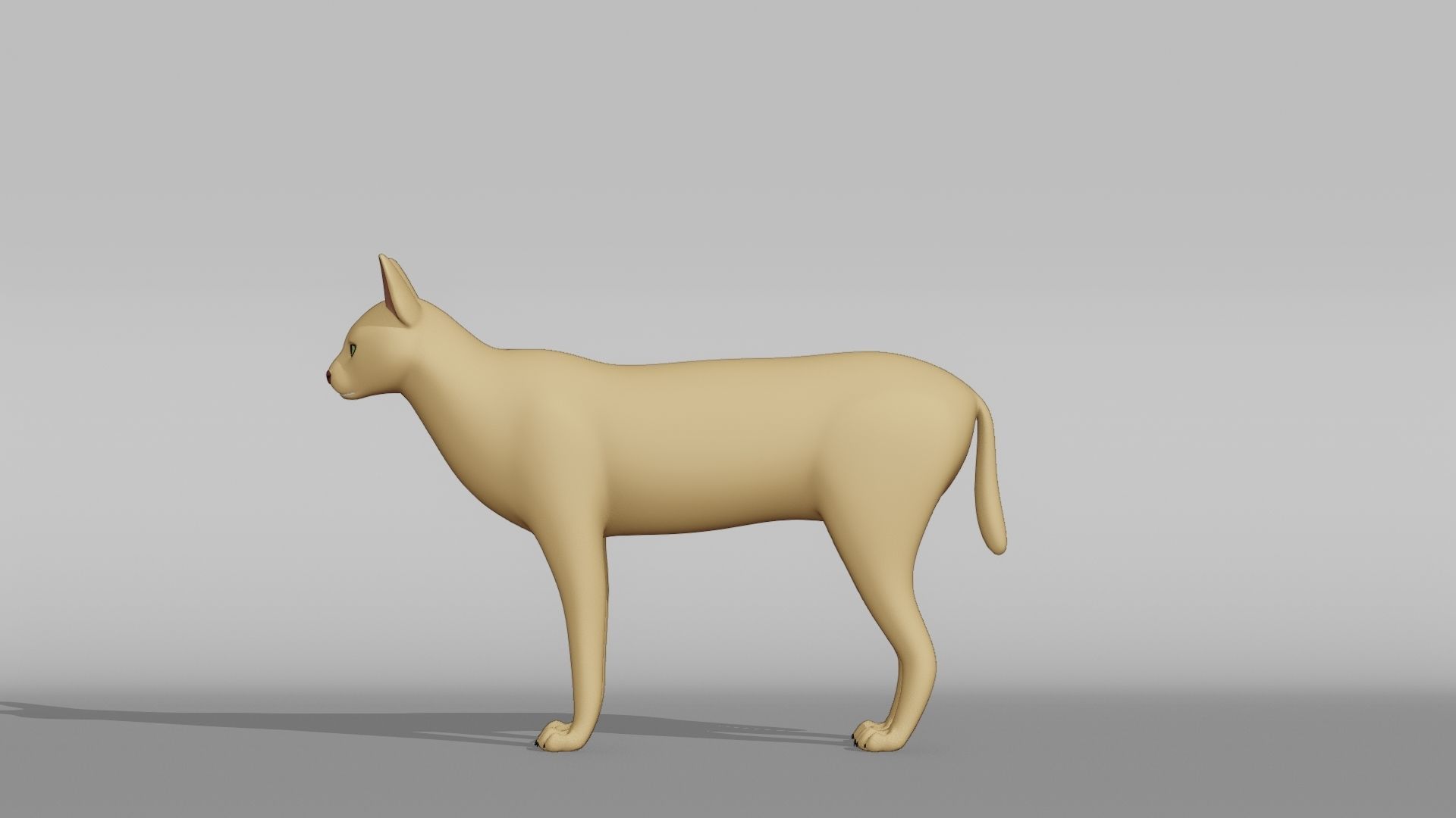 3D model Serval Base Mesh VR / AR / low-poly | CGTrader