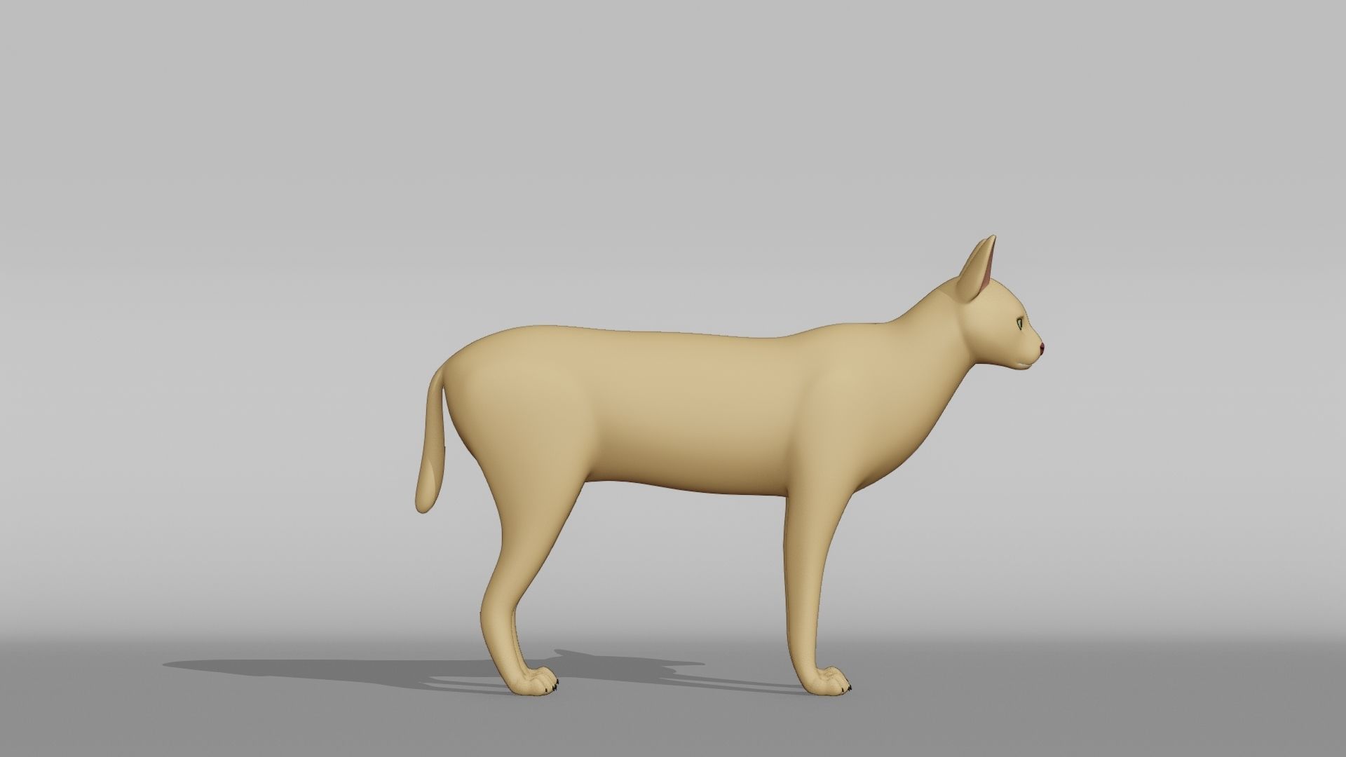 3D model Serval Base Mesh VR / AR / low-poly | CGTrader