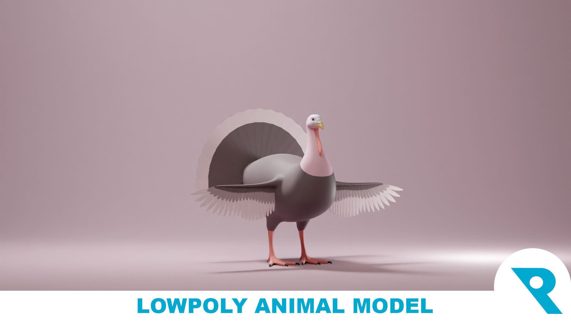 3D model Turkey Base Mesh VR / AR / low-poly | CGTrader