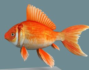 Goldfish 3D Models | CGTrader