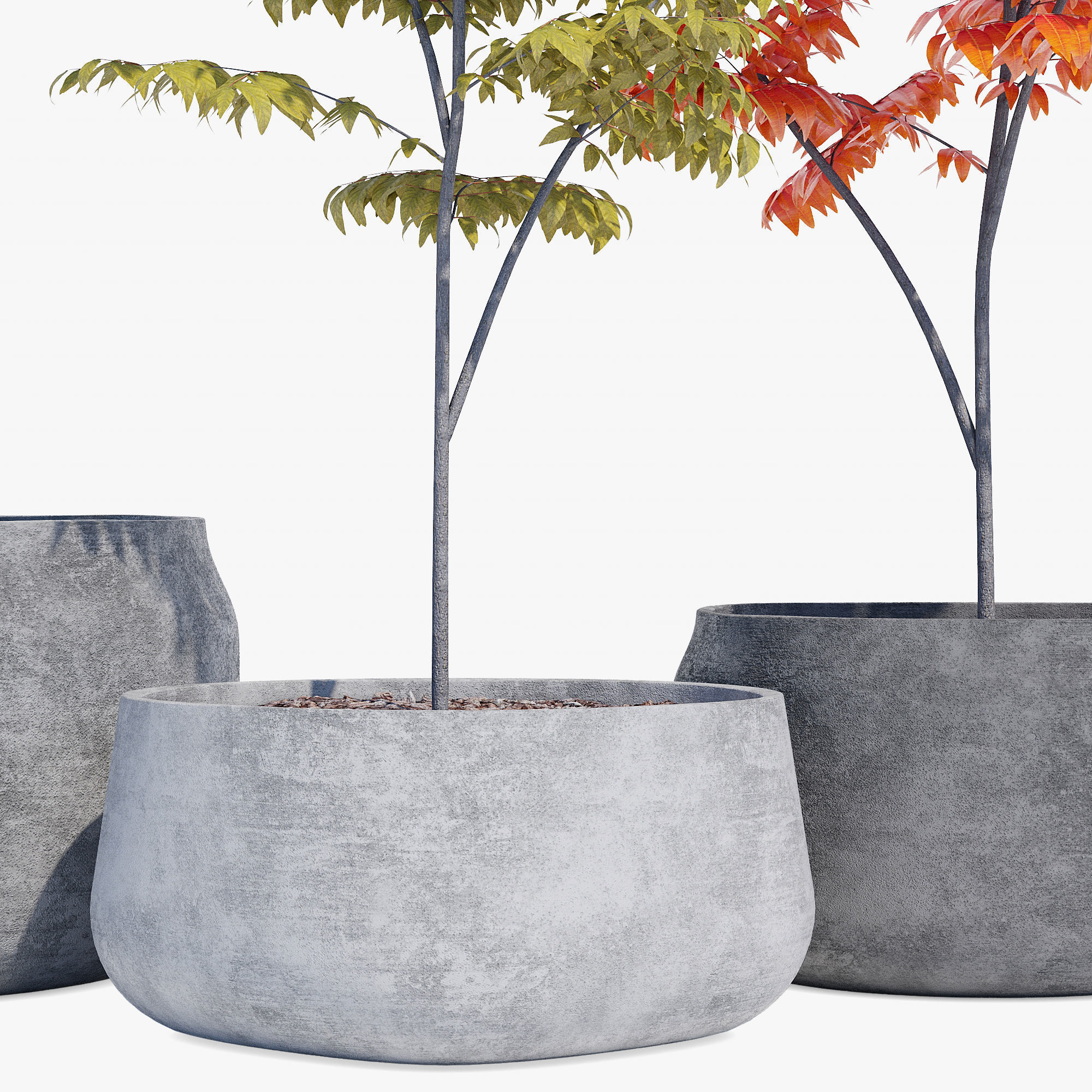 planter set 3 three trees in pots 3D model | CGTrader