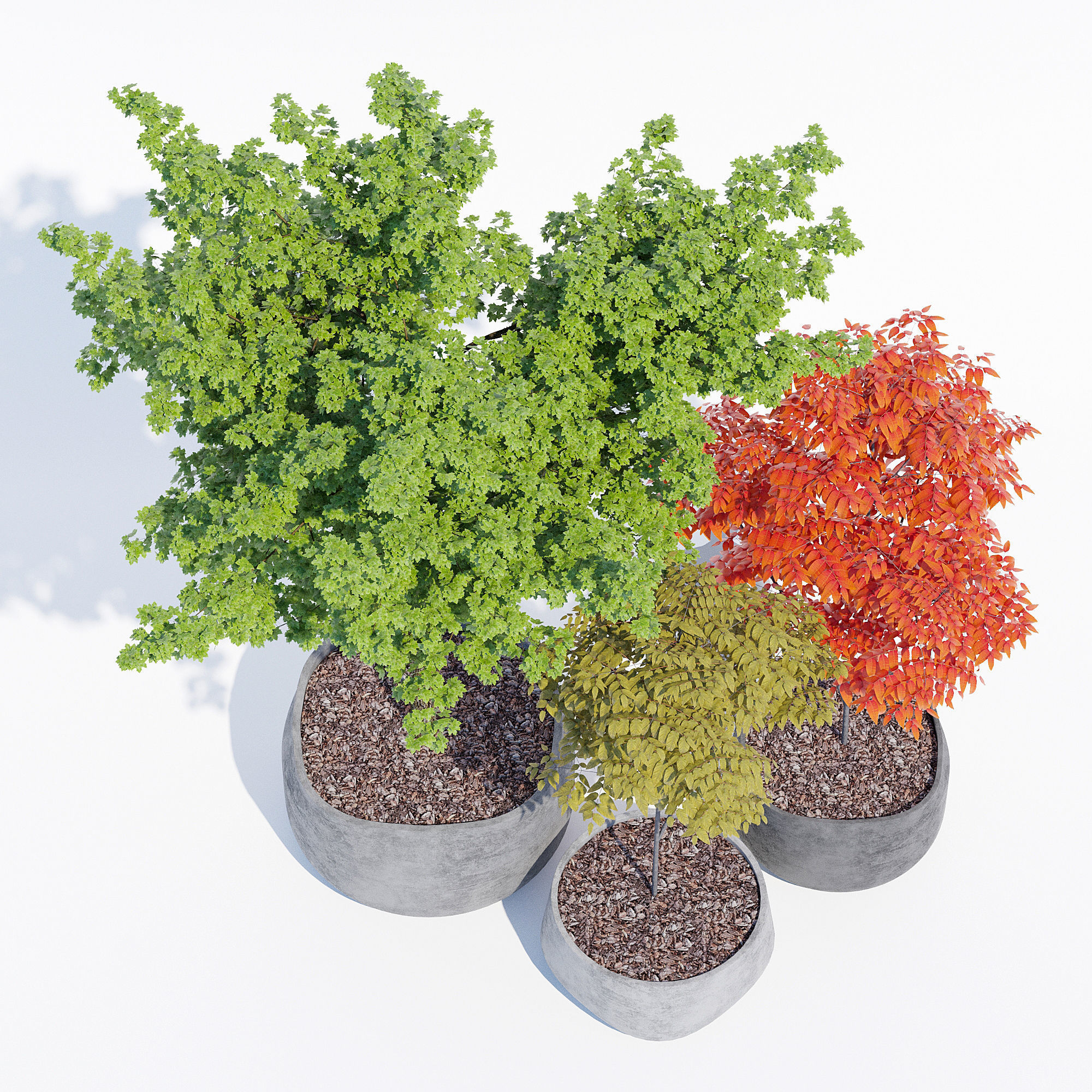 planter set 3 three trees in pots 3D model | CGTrader