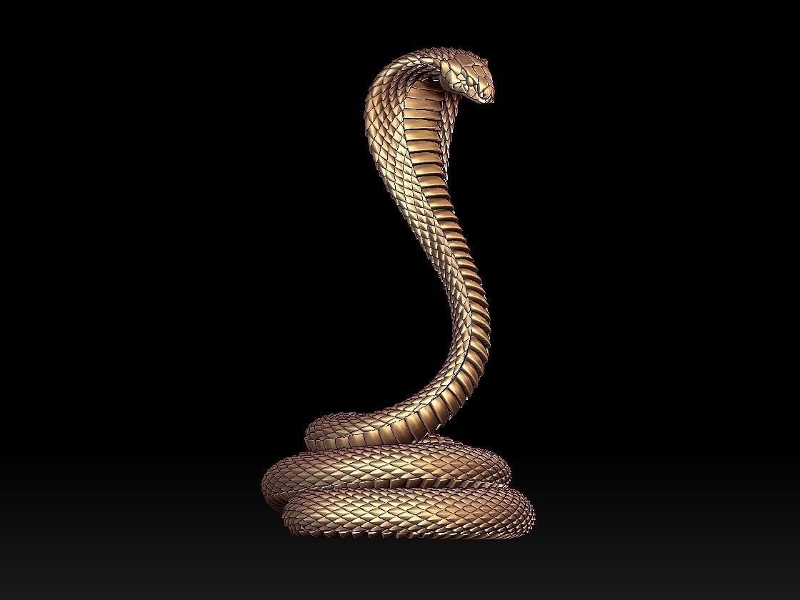 cobra golden snake 3D model 3D printable | CGTrader