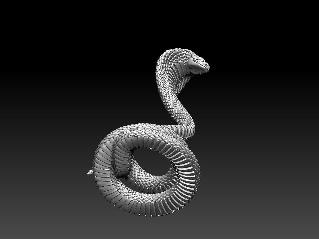 cobra golden snake 3D model 3D printable | CGTrader