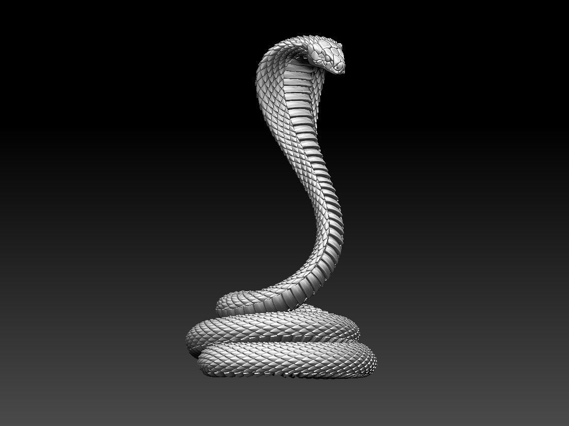 cobra golden snake 3D model 3D printable | CGTrader