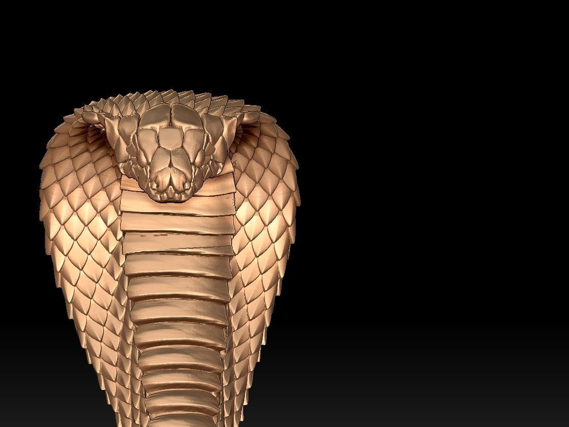 cobra golden snake 3D model 3D printable | CGTrader