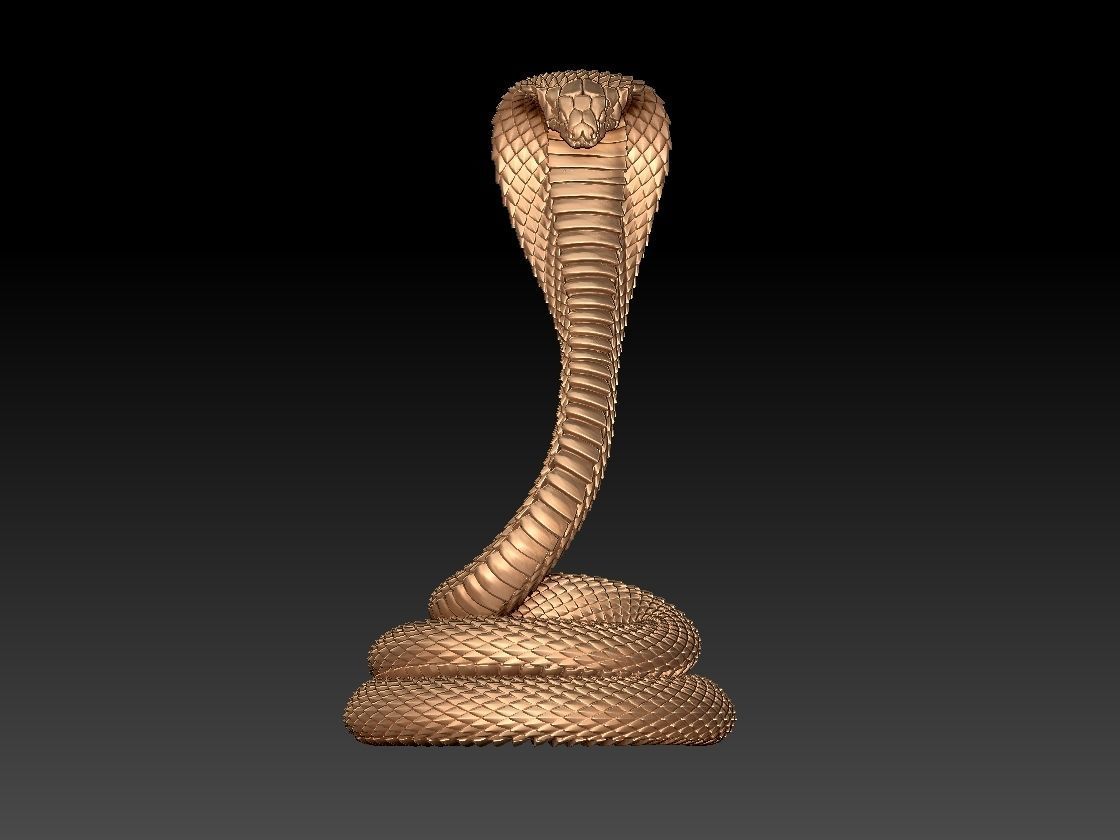 cobra golden snake 3D model 3D printable | CGTrader