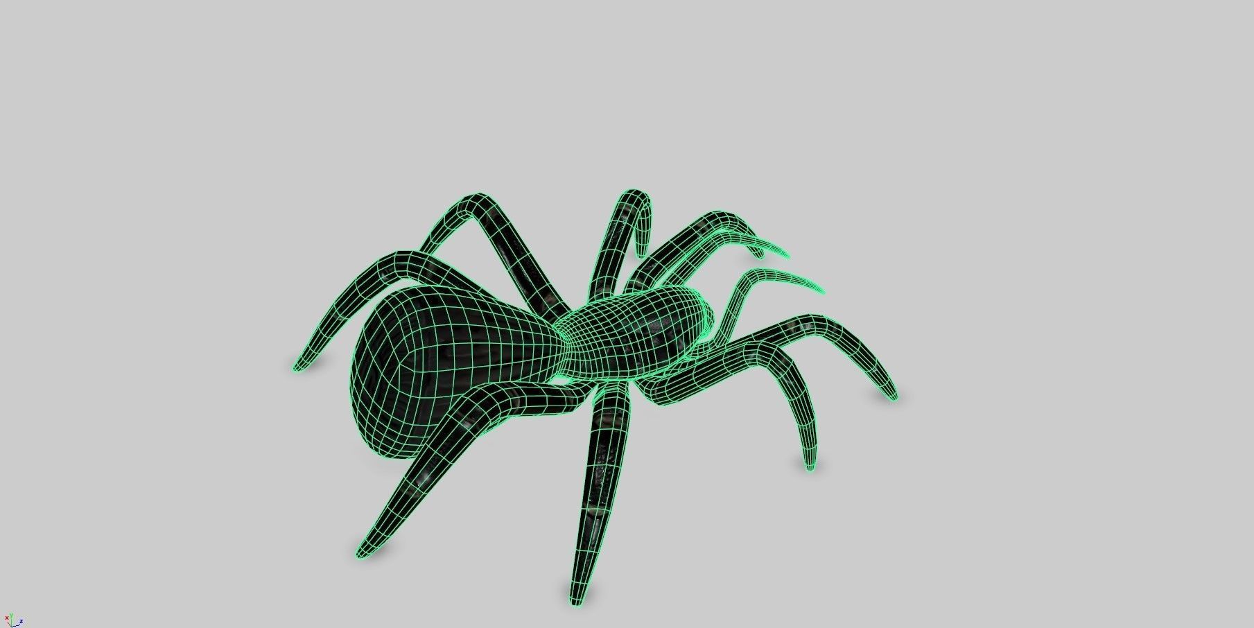 Spider 3d Model 3D model | CGTrader