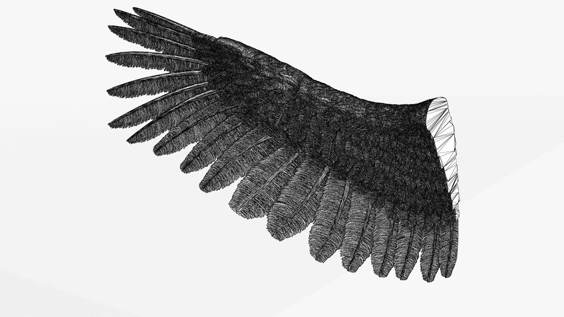 Wing 01 3D model 3D printable | CGTrader