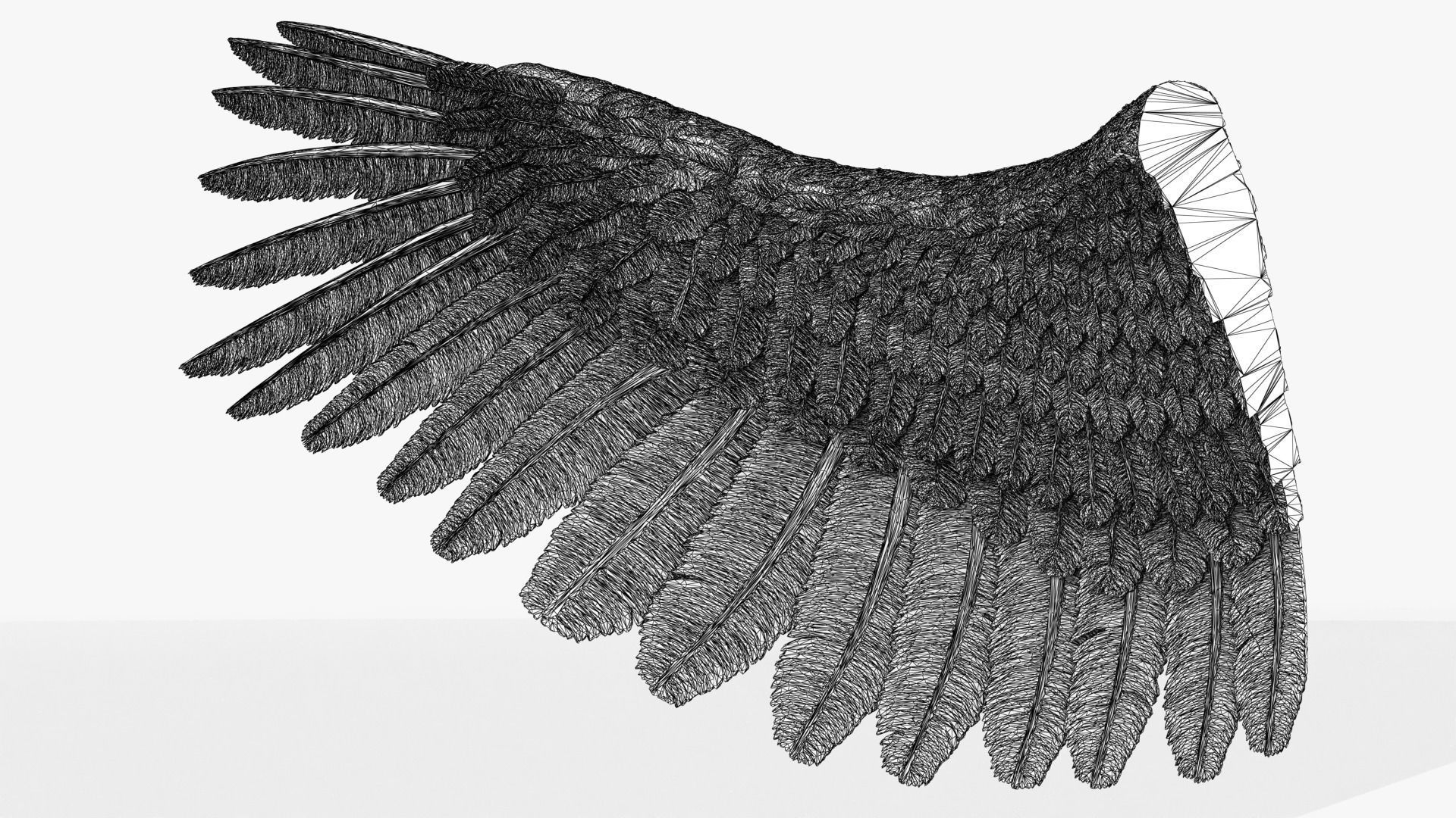 Wing 01 3D model 3D printable | CGTrader
