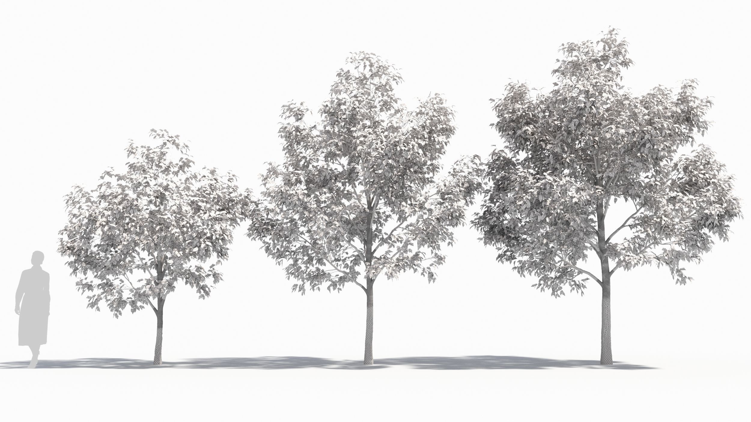 Nyssa tree 3D model | CGTrader