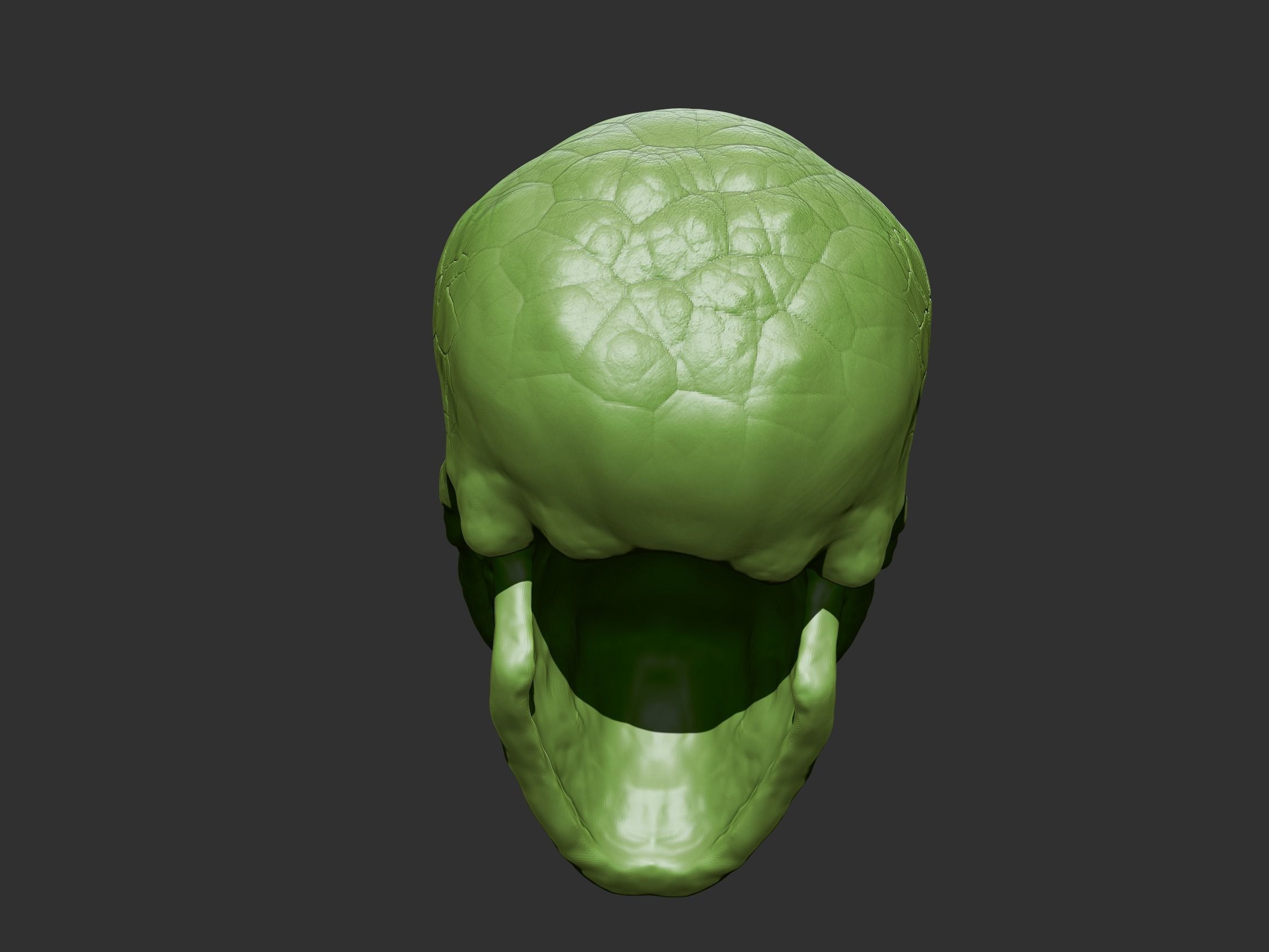 Skull 3d Model 3d Printable Cgtrader 5659
