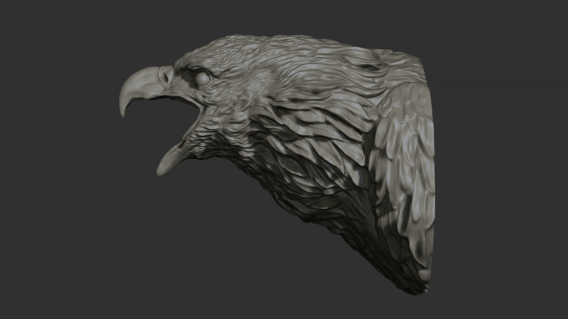 Bald Eagle head 3D model 3D printable | CGTrader