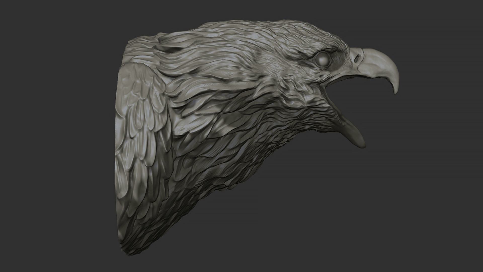 Bald Eagle head 3D model 3D printable | CGTrader
