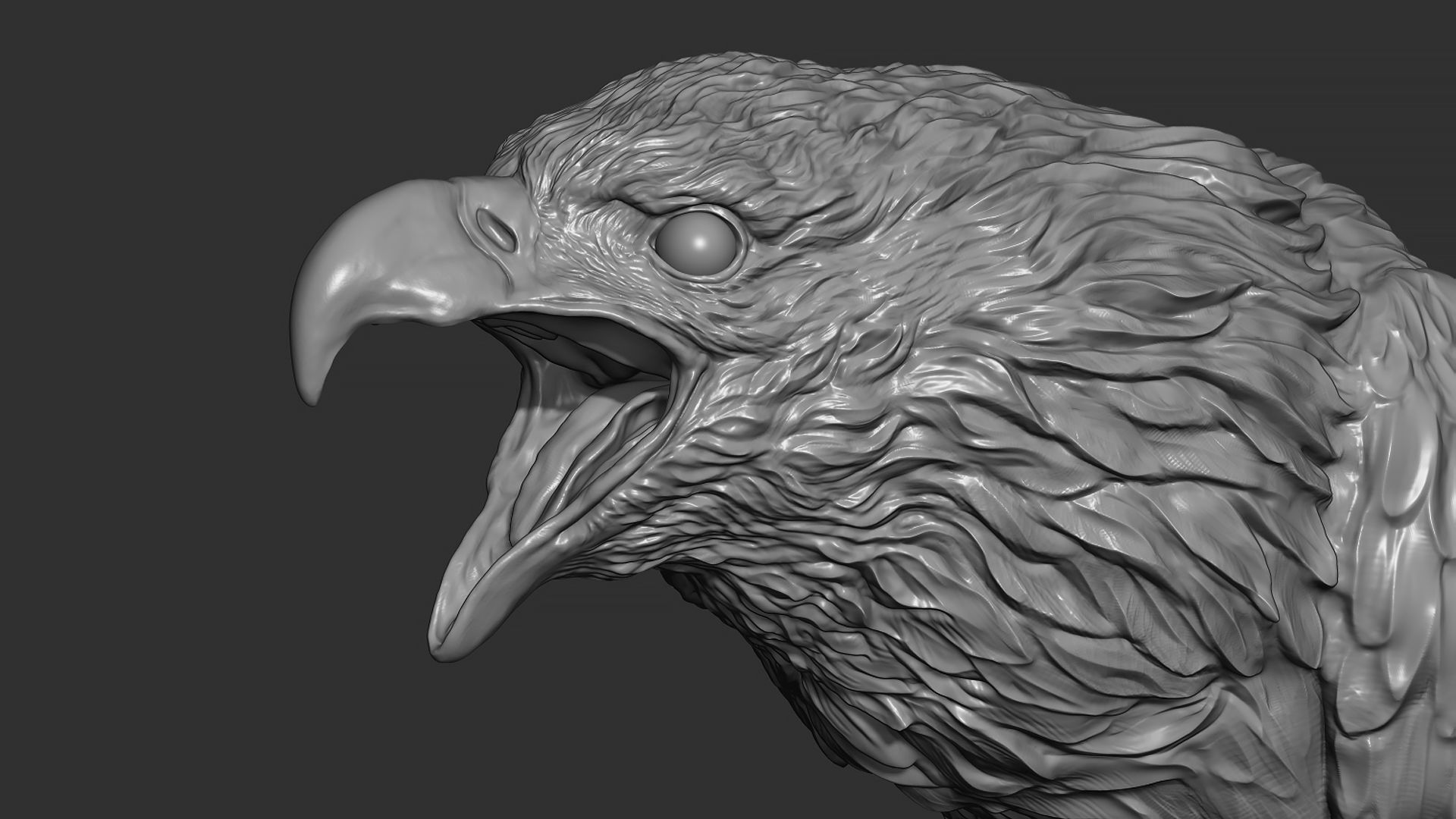 Bald Eagle head 3D model 3D printable | CGTrader