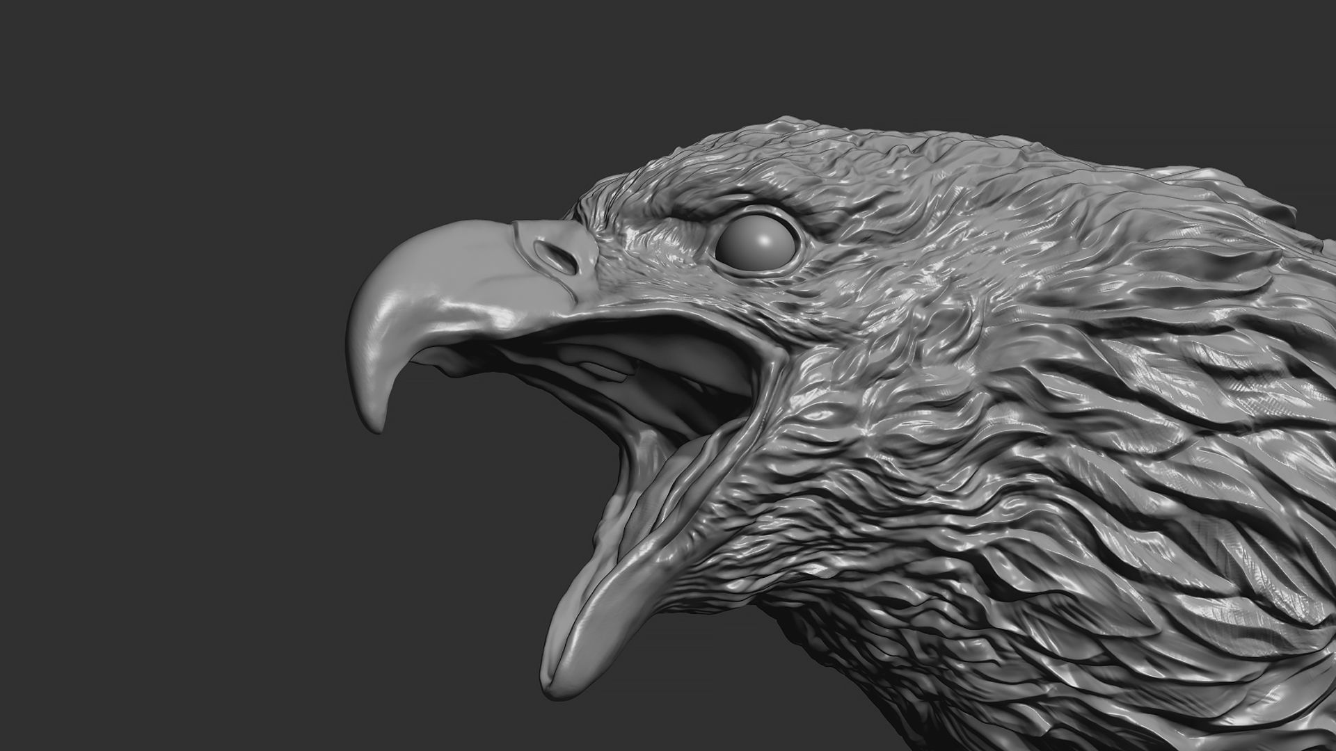 Bald Eagle head 3D model 3D printable | CGTrader