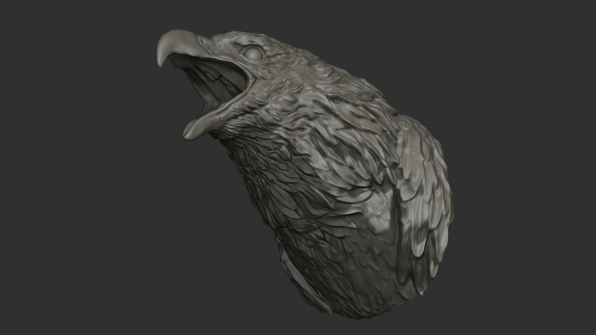 Bald Eagle head 3D model 3D printable | CGTrader