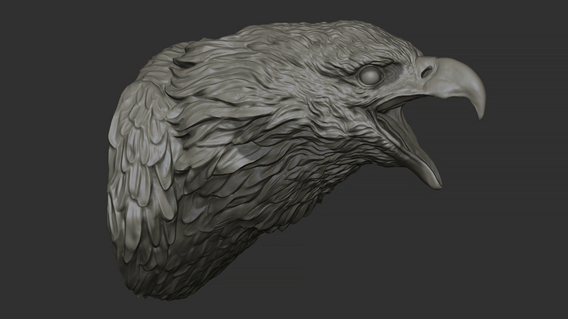 Bald Eagle head 3D model 3D printable | CGTrader
