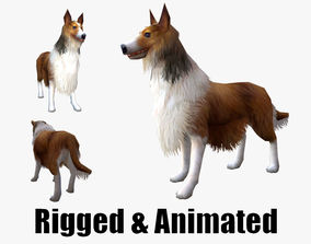 Animated Collie 3D Models | CGTrader