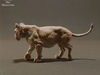 Lion Cub 3D model 3D printable | CGTrader