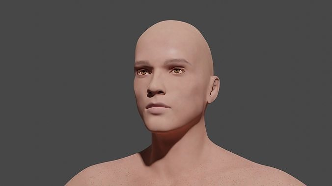 Human Male White Character free 3D model rigged | CGTrader
