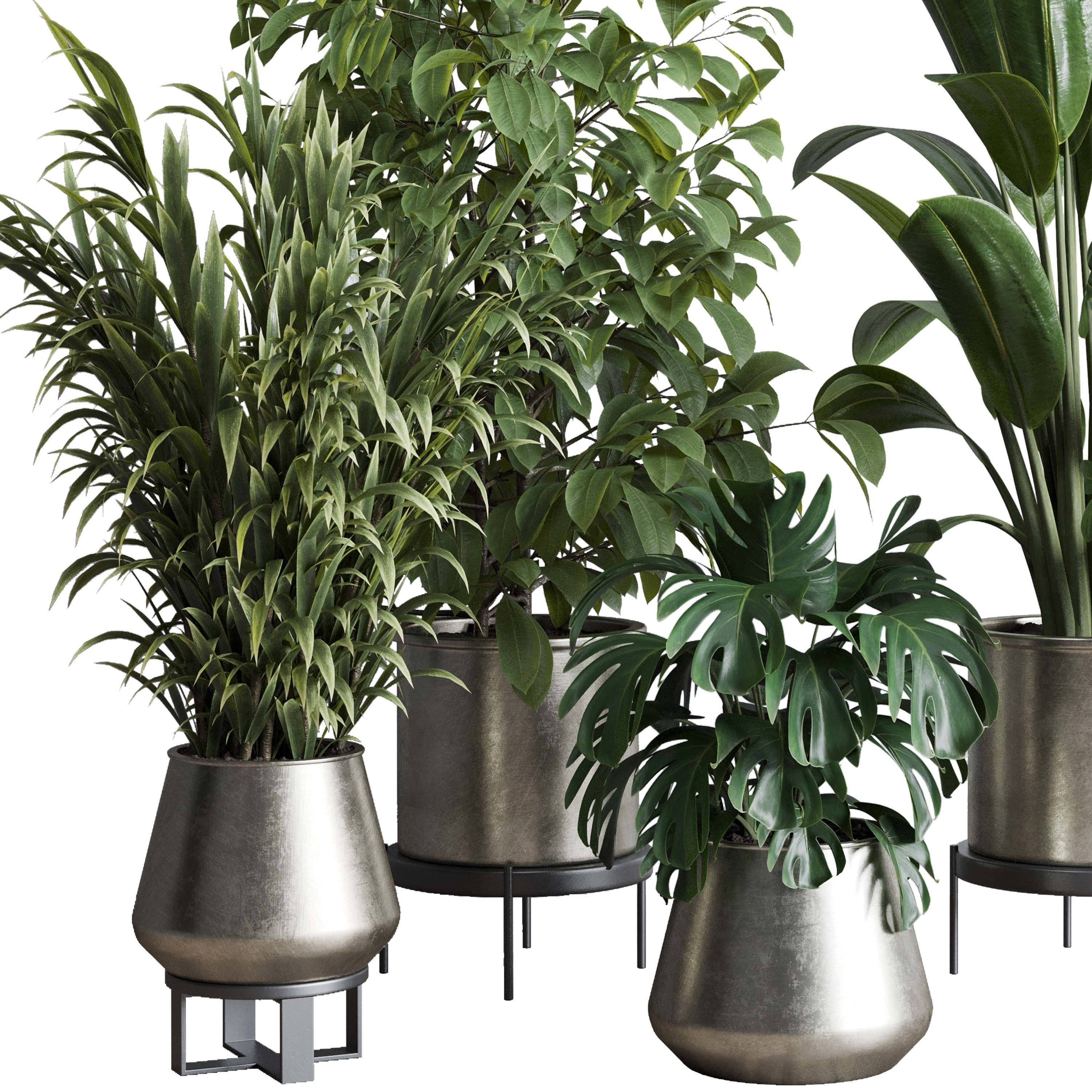 3D model indoor plant set 348 plant ficus rubbery monstera palm VR / AR ...