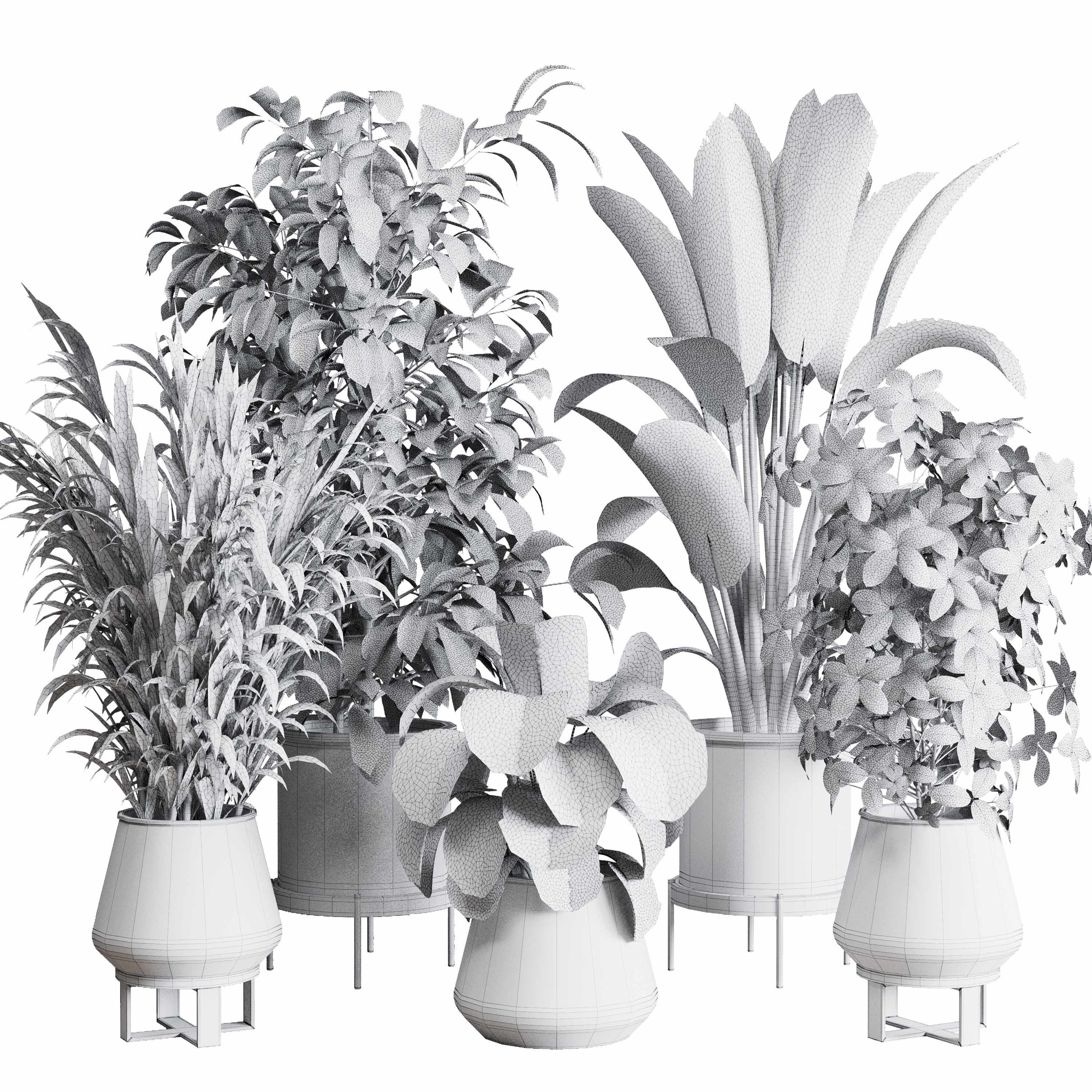 3D model indoor plant set 348 plant ficus rubbery monstera palm VR / AR ...