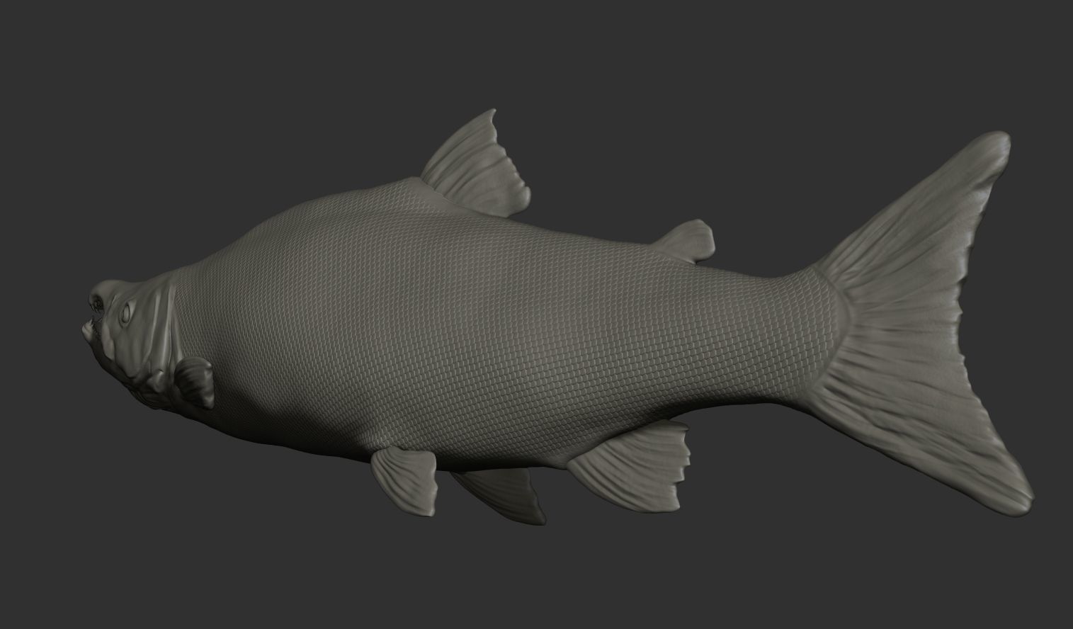 Sockeye salmon 3D model 3D printable | CGTrader