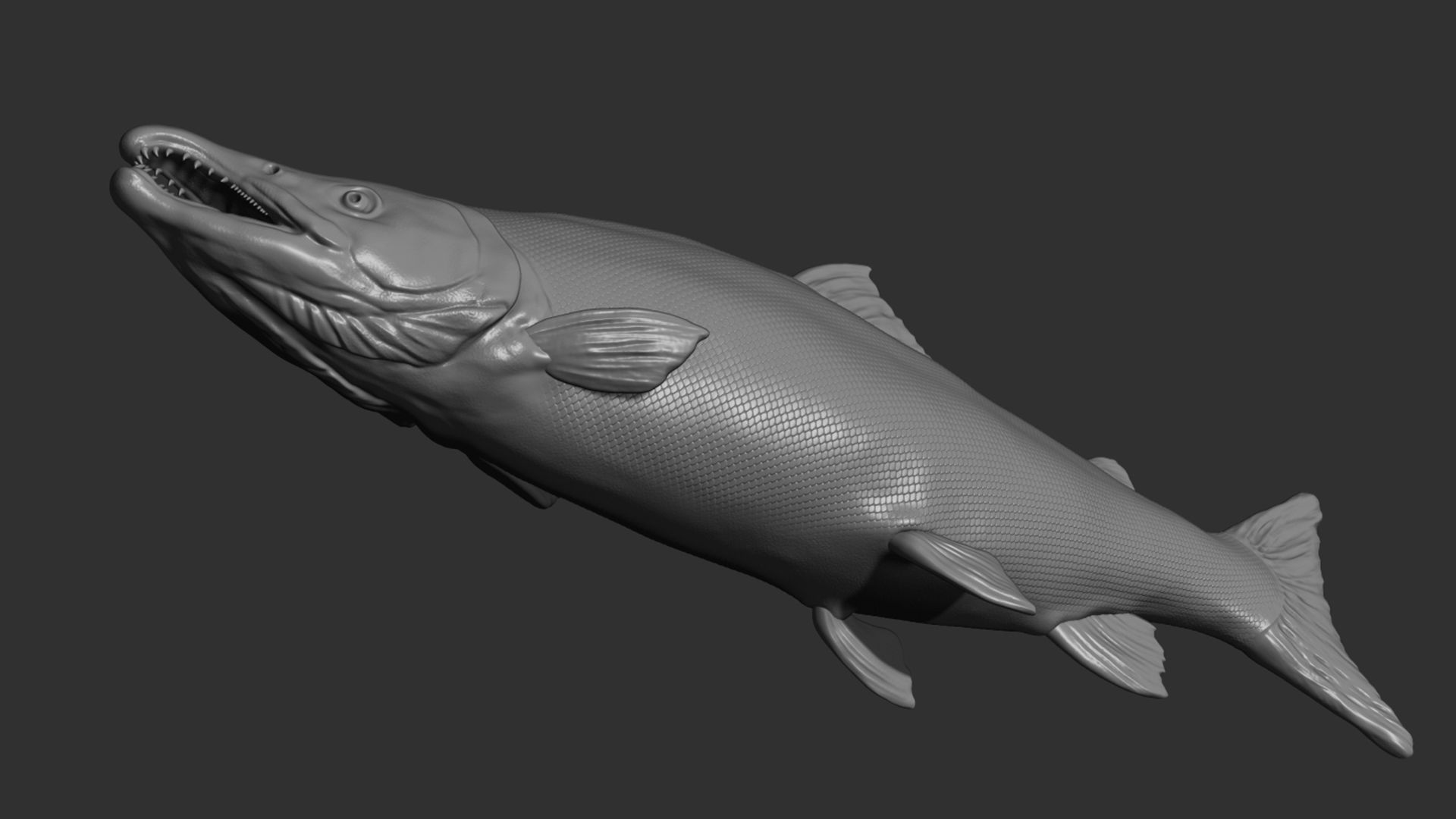 Sockeye salmon 3D model 3D printable | CGTrader