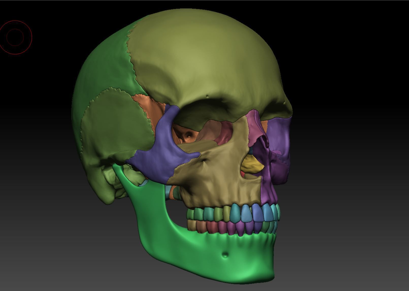 Skull Bones - 3D Printing 3D model 3D printable | CGTrader