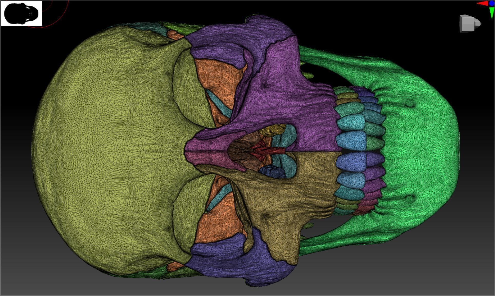 Skull Bones - 3D Printing 3D model 3D printable | CGTrader
