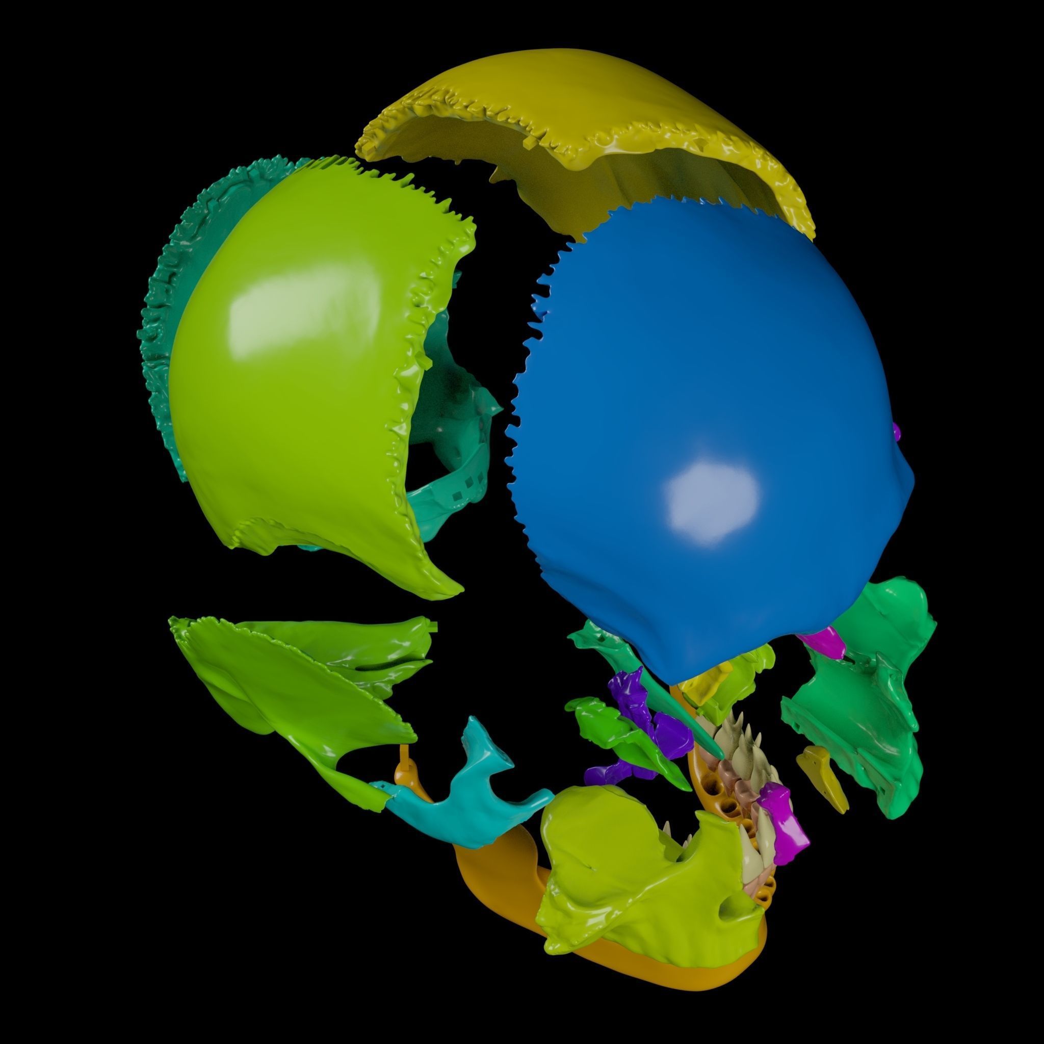 Skull Bones - 3D Printing 3D model 3D printable | CGTrader