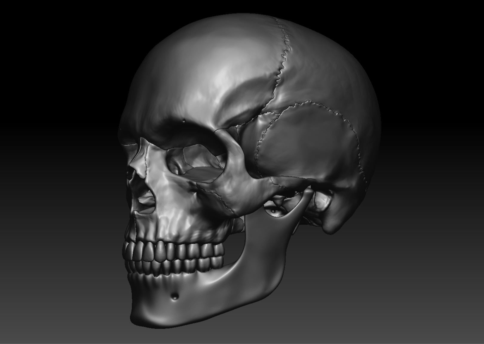 Skull Bones - 3D Printing 3D model 3D printable | CGTrader