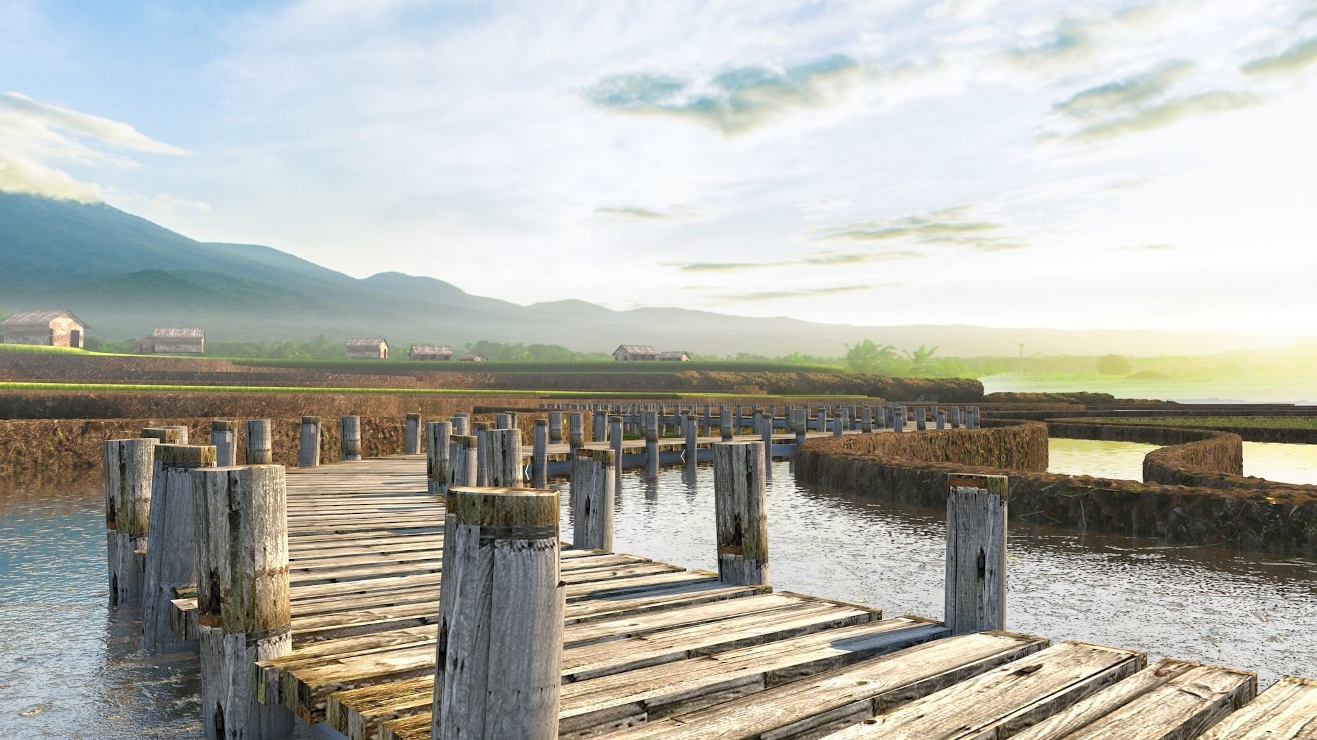 Paddy fields Rice wheat crops meter Terraced fields 3D model | CGTrader