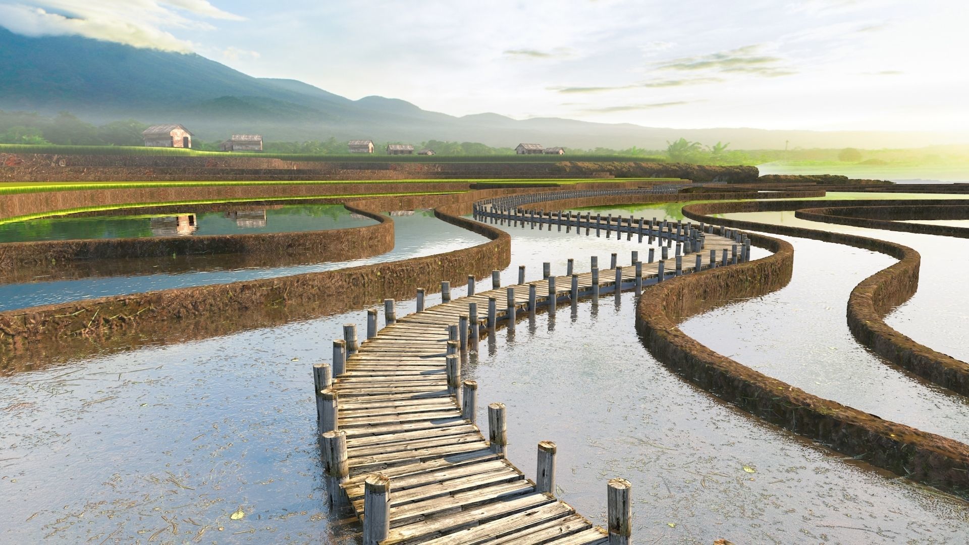 Paddy fields Rice wheat crops meter Terraced fields 3D model | CGTrader