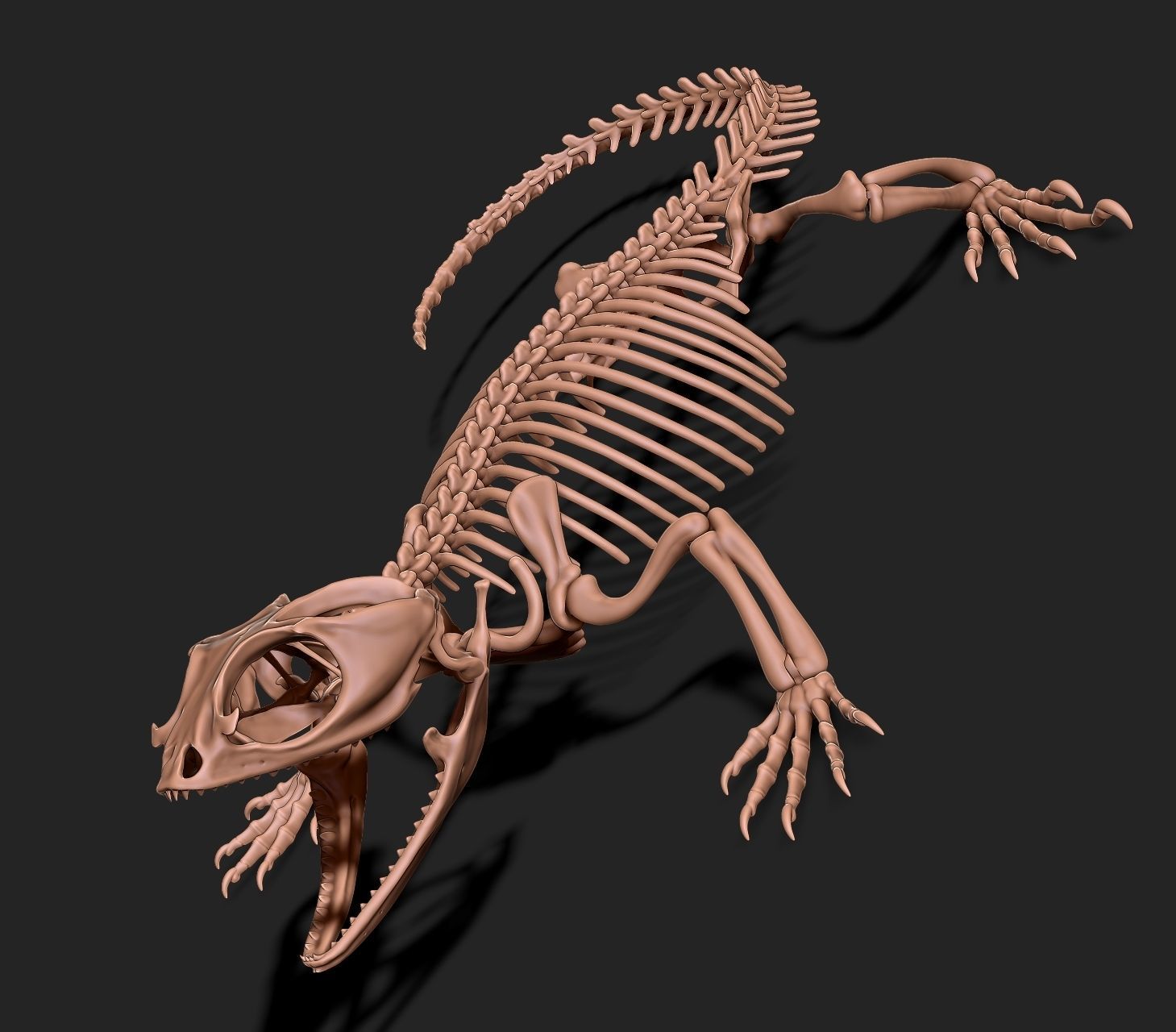 Bearded Dragon Skeleton DYS AF kit 3D model 3D printable | CGTrader