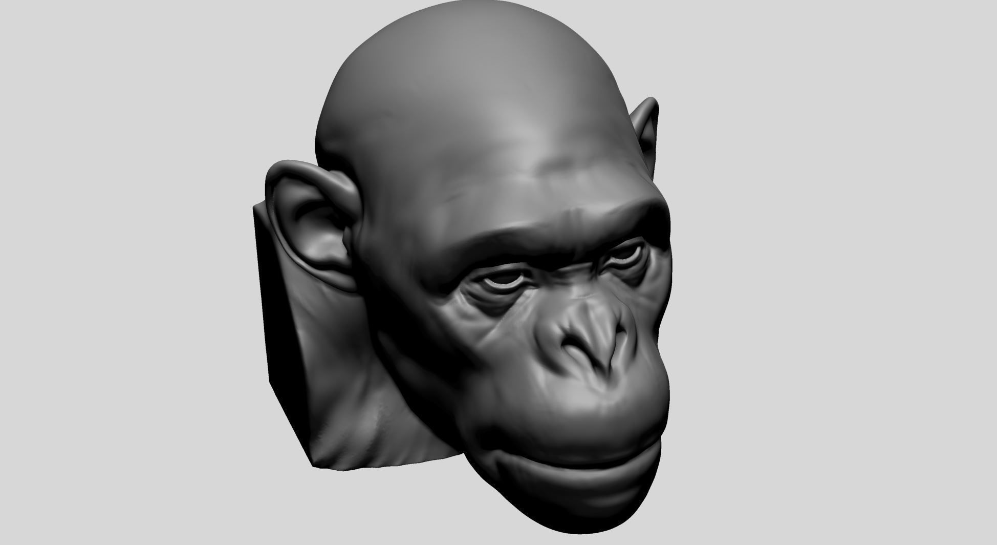 Chimp Head Printable 3D model 3D printable | CGTrader