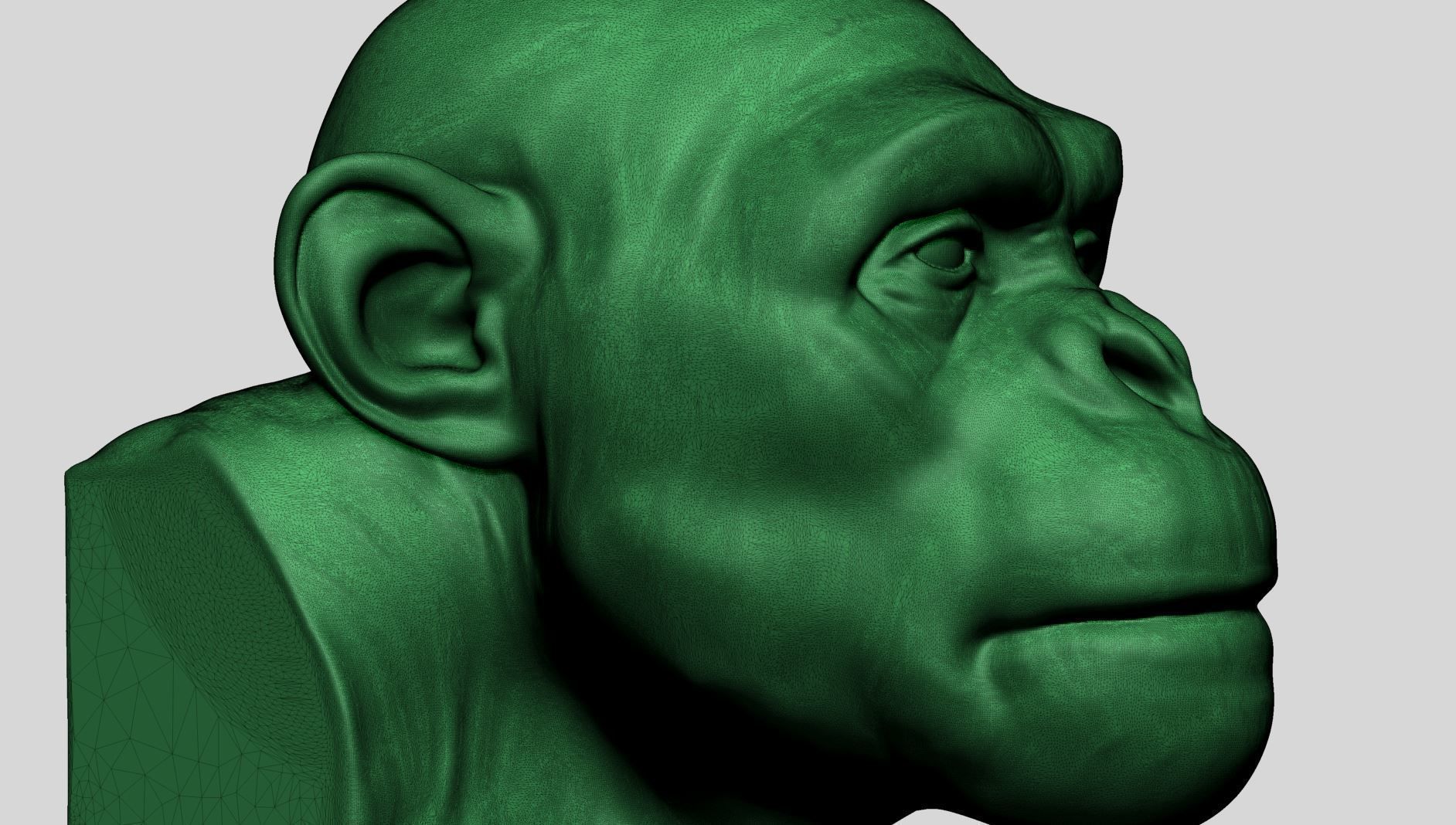 Chimp Head Printable 3D model 3D printable | CGTrader