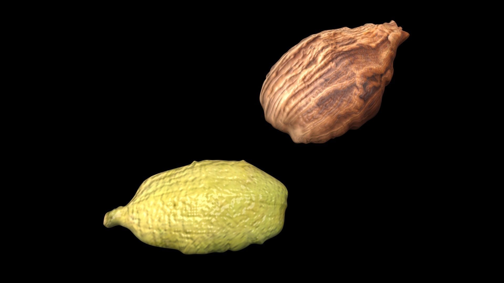 Green and Brown Cardamom 3D model | CGTrader