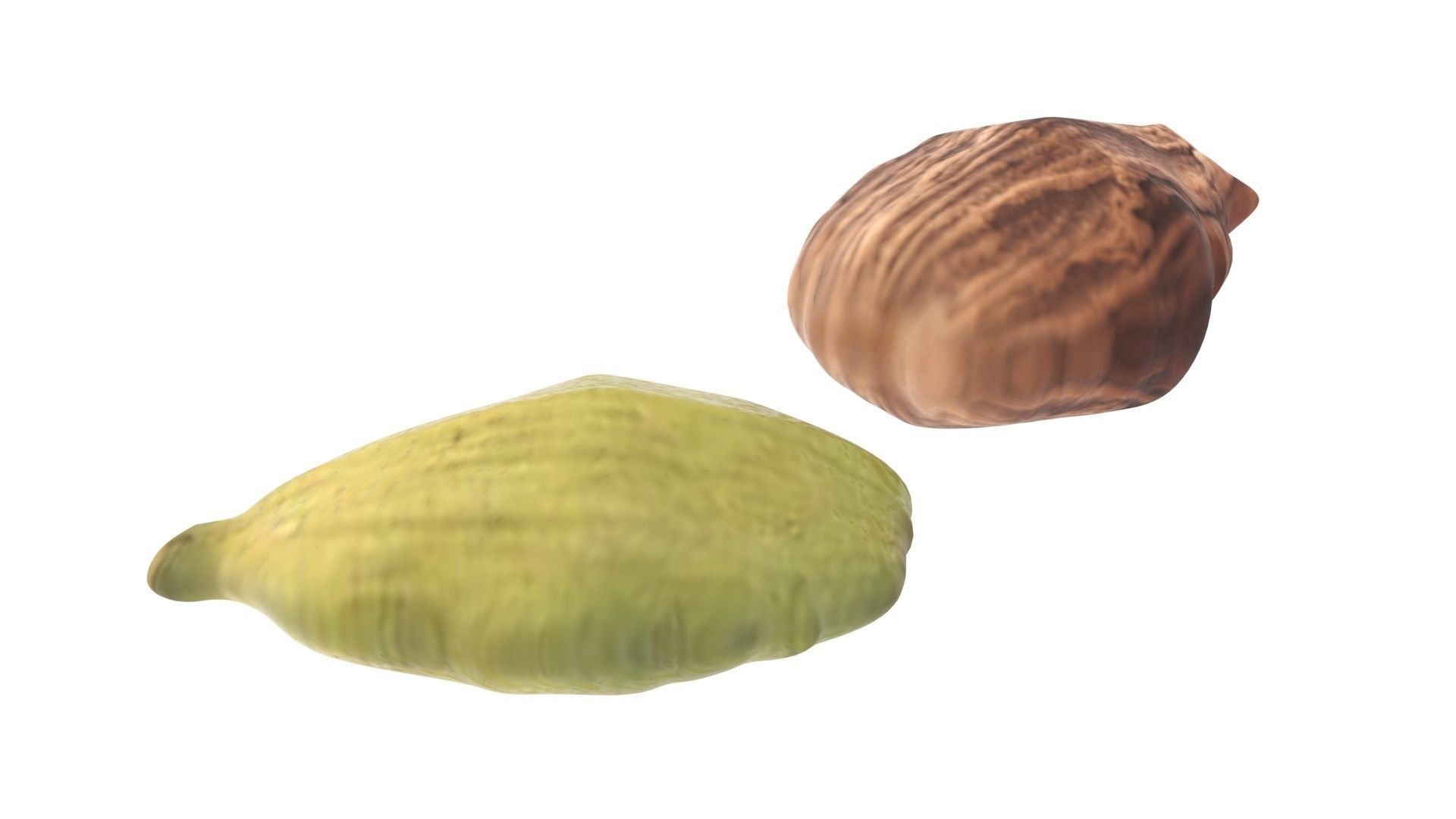 Green and Brown Cardamom 3D model | CGTrader