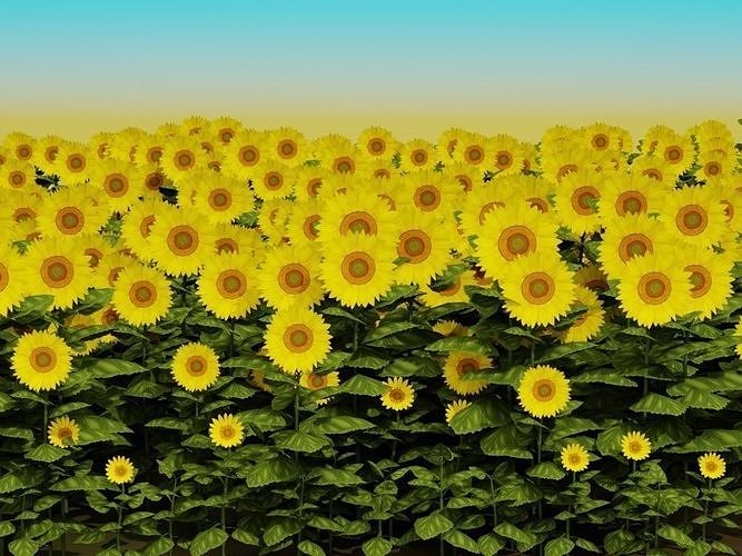 3D model Low poly hand painted sunflowers VR / AR / low-poly | CGTrader