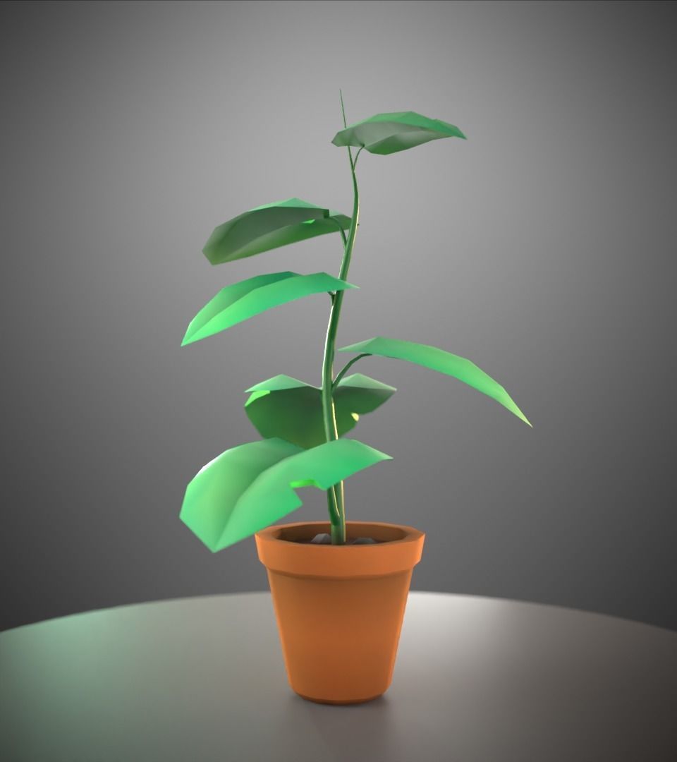 3D model Plant stylized Low Poly VR / AR / low-poly | CGTrader